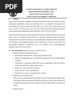 LP Pre, Intra Dan Post Operasi | PDF