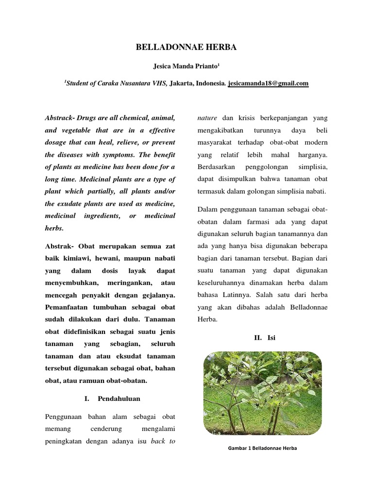 BELLADONNAE HERBA Tinjauan Pustaka | PDF