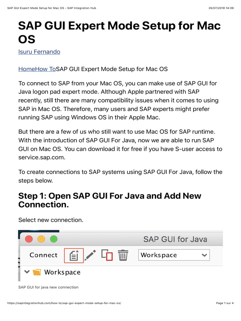 Sap Gui Expert Mode Setup For Mac Os Sap Integration Hub Pdf Operating System Mac Os
