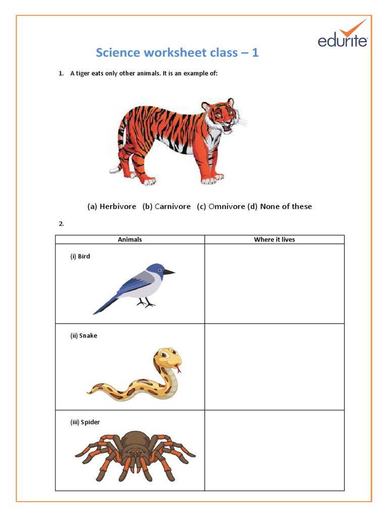 Science Worksheet Class - 1 | PDF