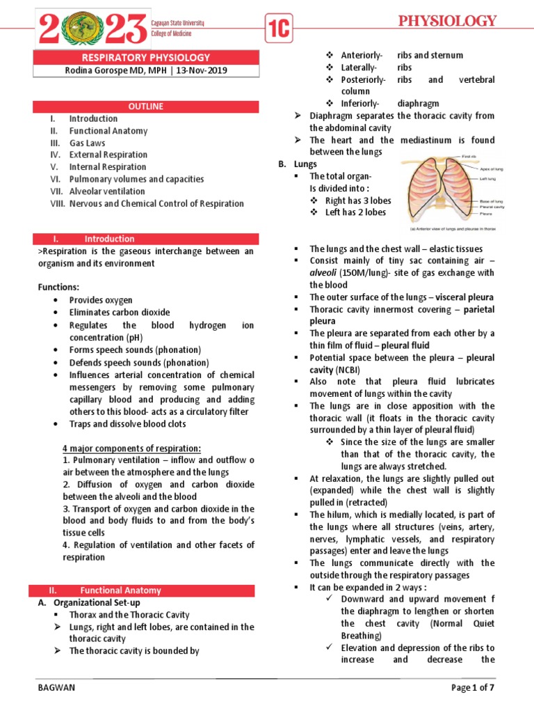 F.1 - Respiratory Physio (For Quiz Muna) | PDF | Respiratory Tract | Lung