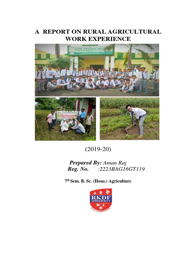 Rural agricultural work experience report | PDF | Sowing | Agriculture