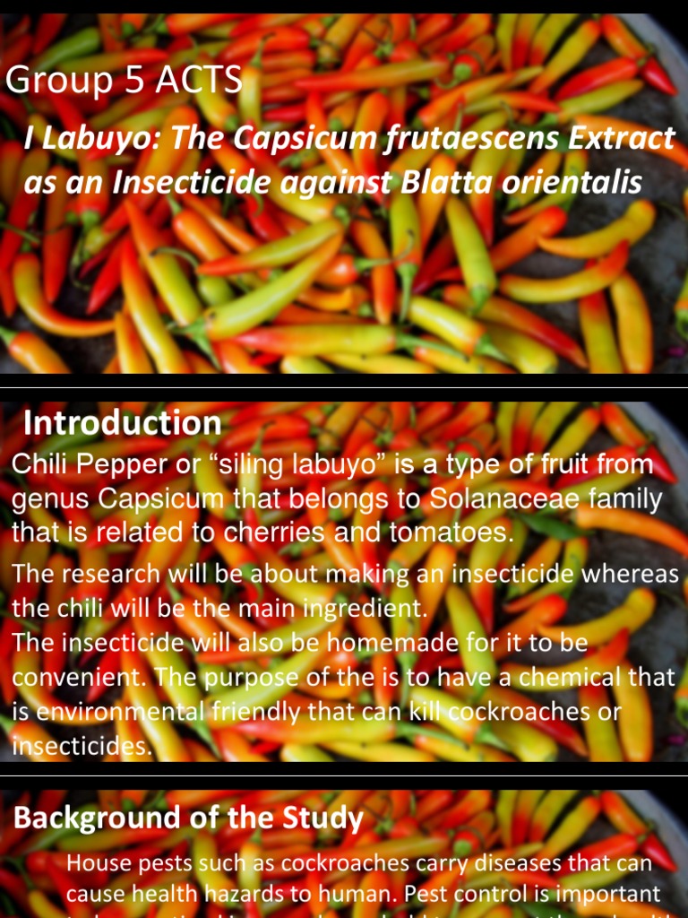 I Labuyo | PDF | Chili Pepper | Insecticide