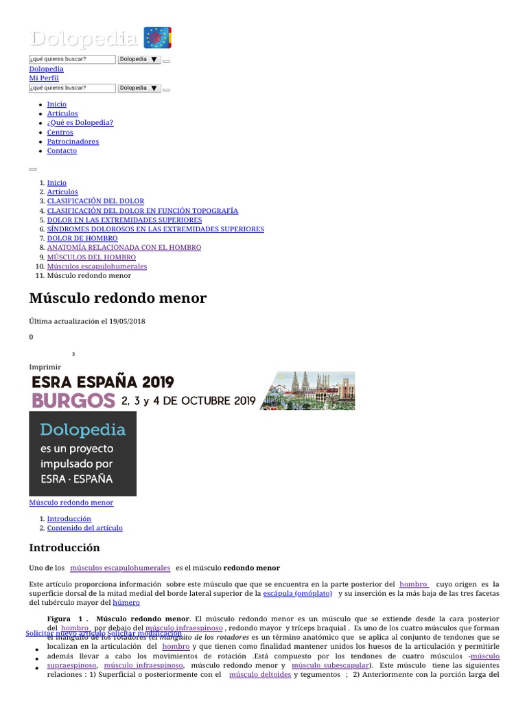 Músculo Redondo Menor Dolopedia | PDF | Hombro | Extremidades (anatomía)