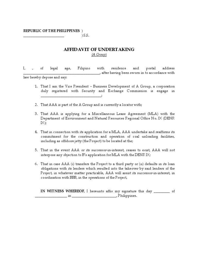 Affidavit of Undertaking
