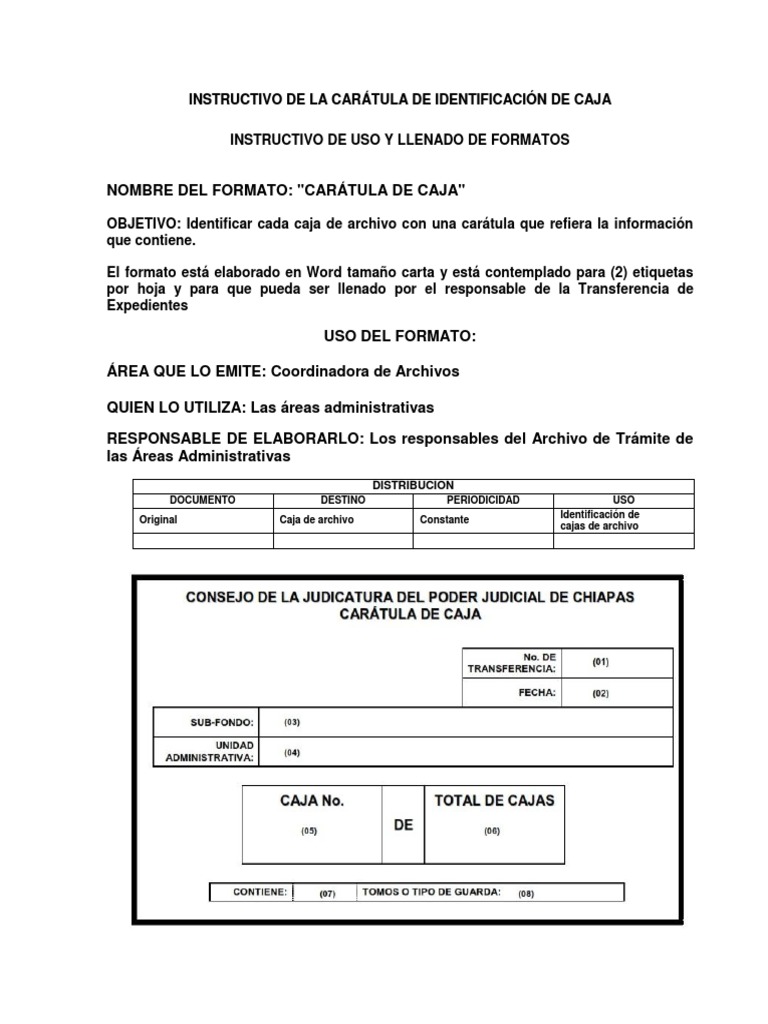 Instructivo para El Formato de Caja | PDF