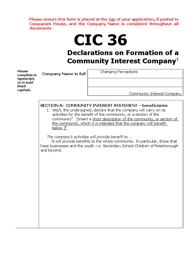 EXAMPLE CIC 36 Form | PDF | Government | Business