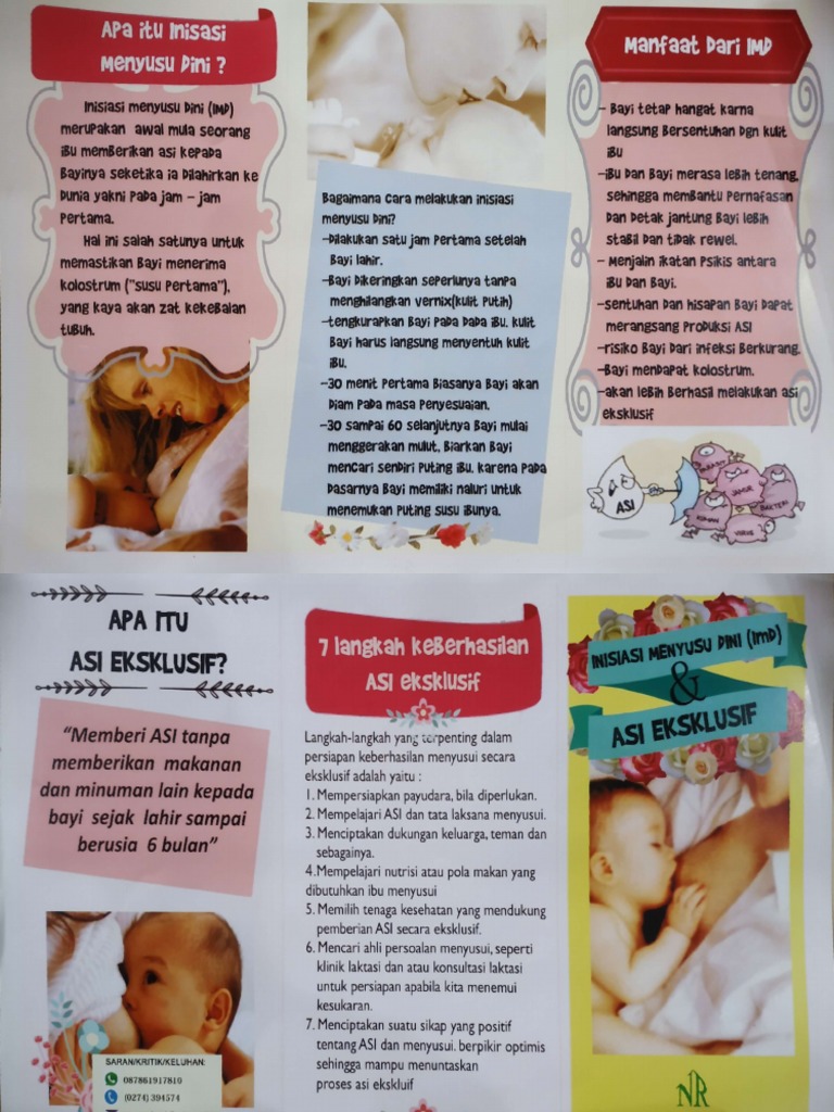 Leaflet Imd (Inisiasi Menyusu Dini) | PDF