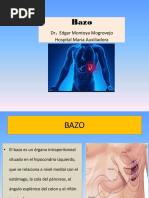 Medidas Normales del Bazo en Ecografía | PDF | Bazo | Órgano (anatomía)