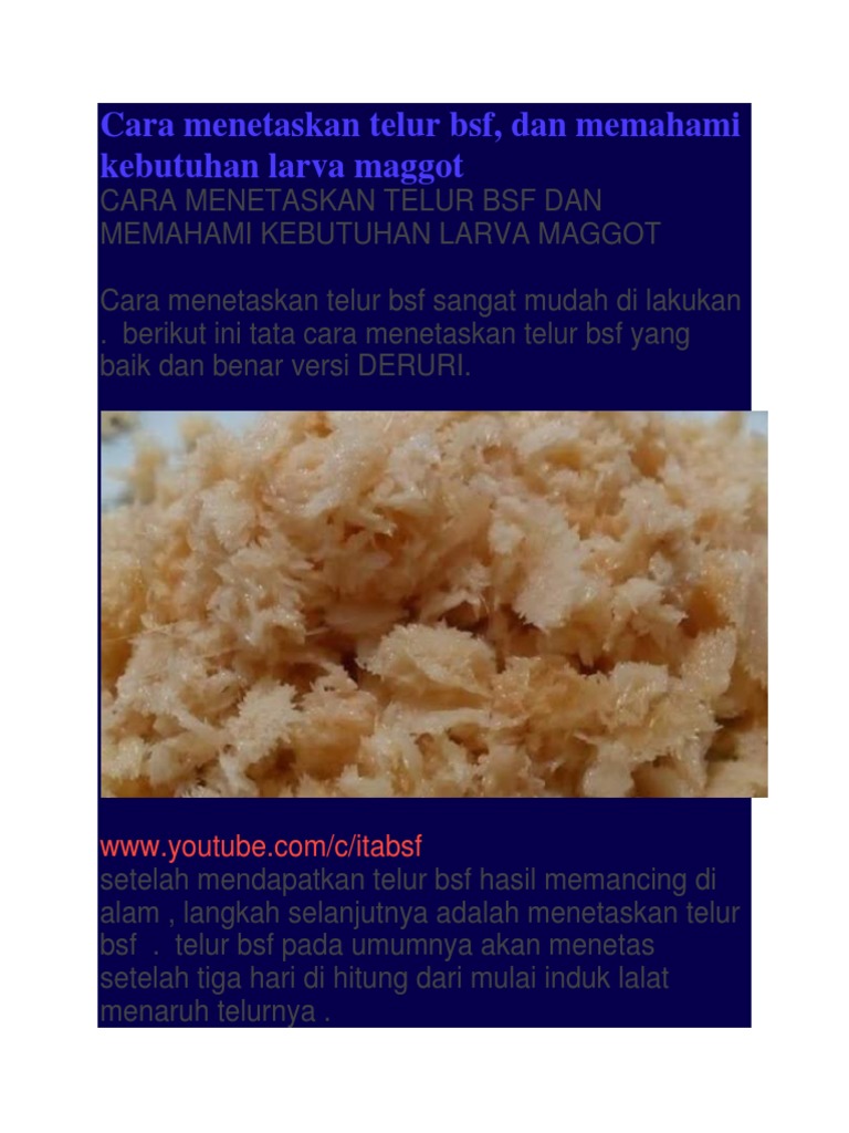Cara Menetaskan Telur BSF | PDF