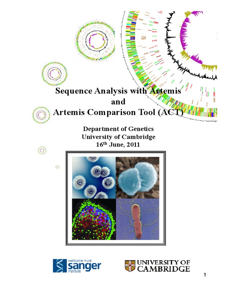 Artemis Manual Cambridge June2011 | PDF | Gene | Dna Sequencing
