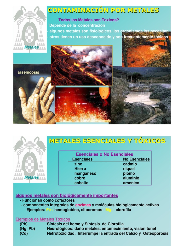 Metales esenciales y tóxicos: una perspectiva sobre sus fuentes ...