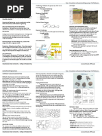 Soil Exploration Boring Methods | PDF | Drilling | Geotechnical Engineering