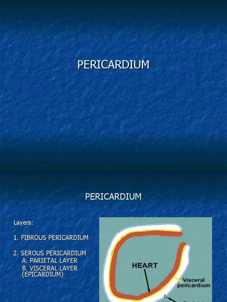 Pericardium | PDF | Heart Valve | Coronary Circulation