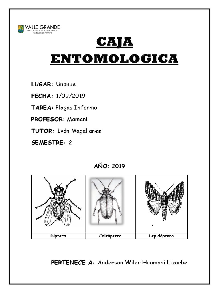 Caja Entomologica | PDF | Insectos | Insectos y humanos