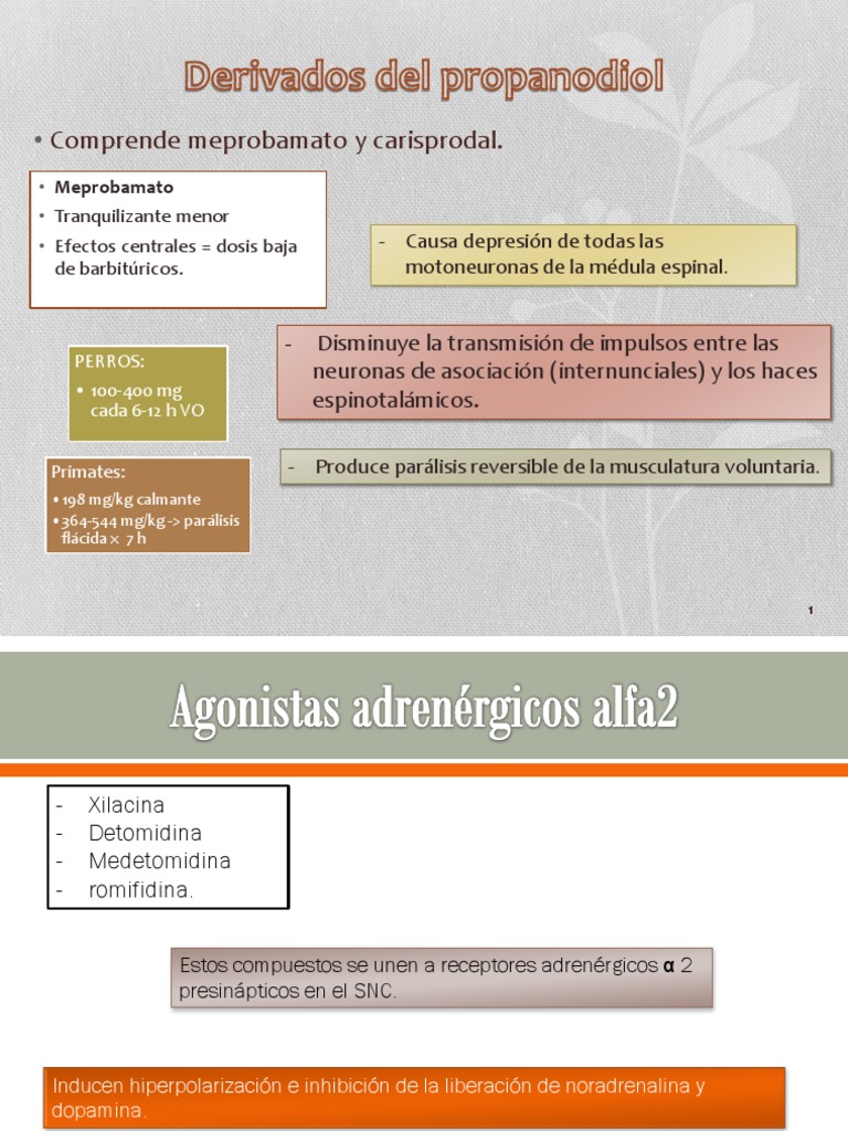 Derivados Del Propanodiol | PDF | Norepinefrina | Tratamientos médicos