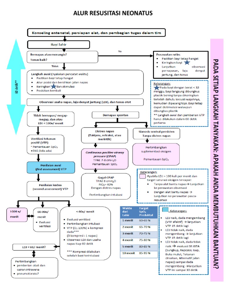Alur Resusitasi Neonatus | PDF