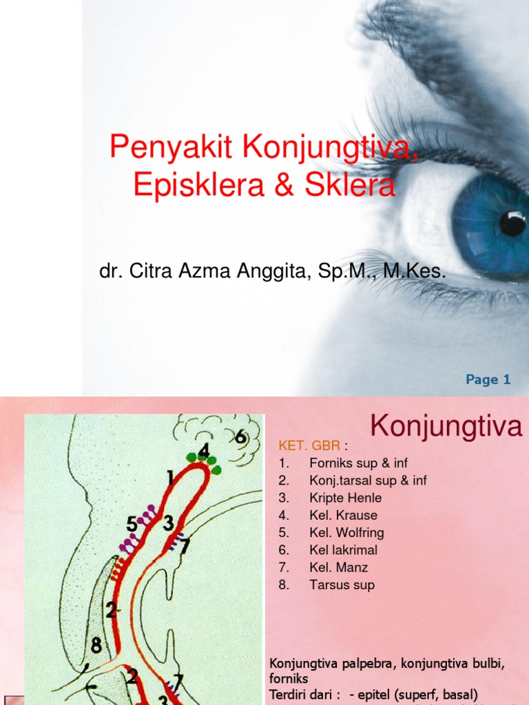 27) MATA - Dr. Citra A Anggita, M.Kes, SP.M - IV. Konjungtiva Sklera ...