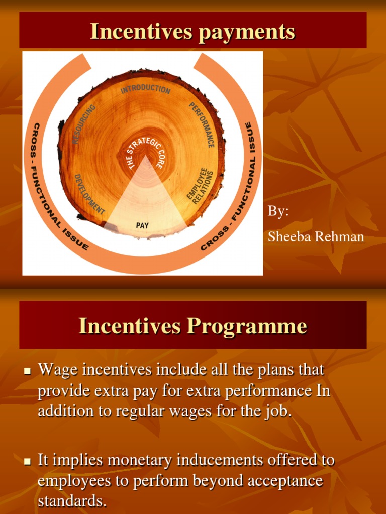 Incentive Payment Plans Overview | PDF | Piece Work | Employment