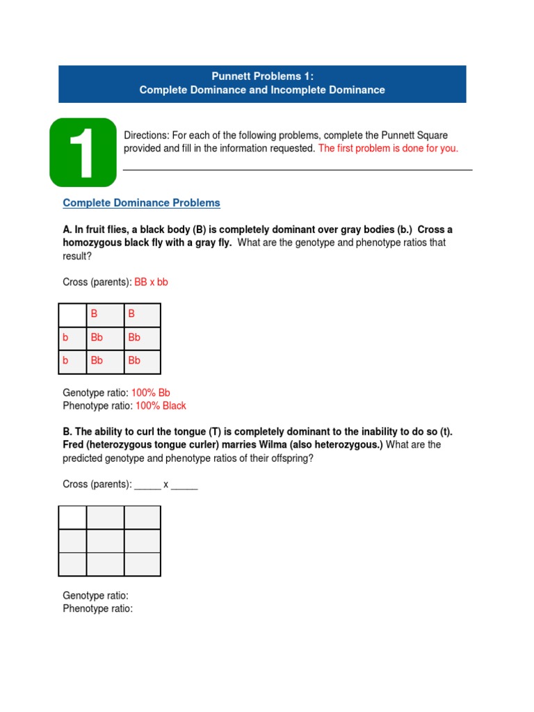 Punnett Square Problem Solving | PDF | Dominance (Genetics) | Genotype