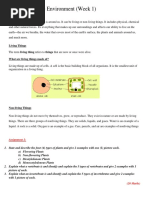 Grade 6 Science Revision Notes | PDF | Flowers | Force