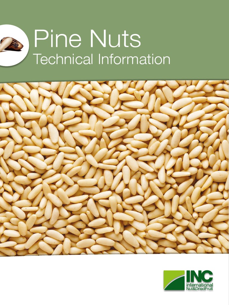 Technical Information Kit Pine Nuts | PDF | Pine | Foods
