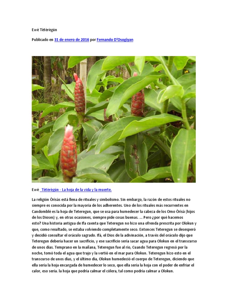 Ewé Tètèrègún | PDF | Rituales | Religión y creencia
