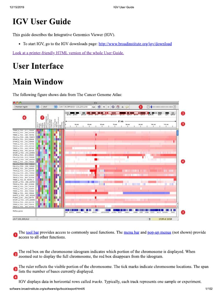 IGV User Guide