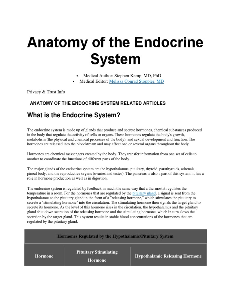 Anatomy of The Endocrine System | PDF | Endocrine System | Hypothalamus