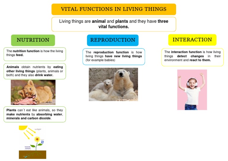 Vital functions in living things: nutrition, reproduction, interaction ...