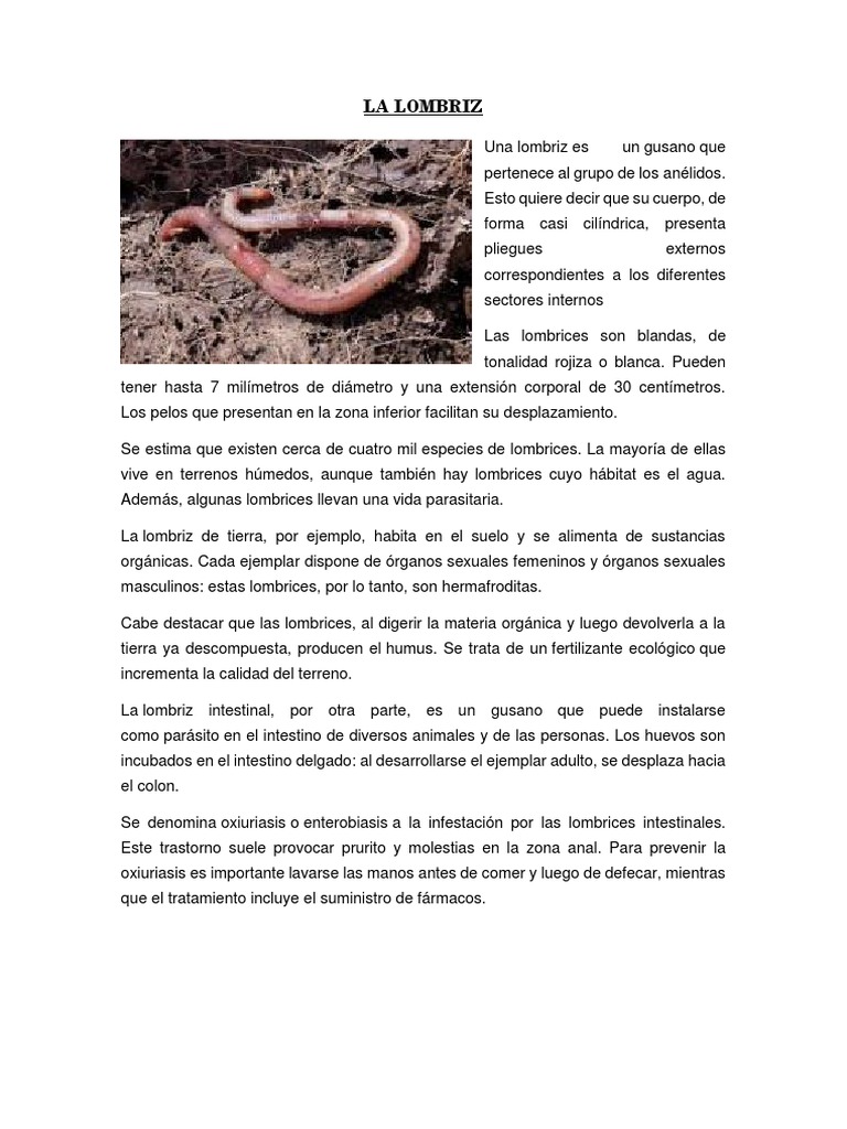 Partes y tipos de lombrices | PDF | Ciencia y matemáticas