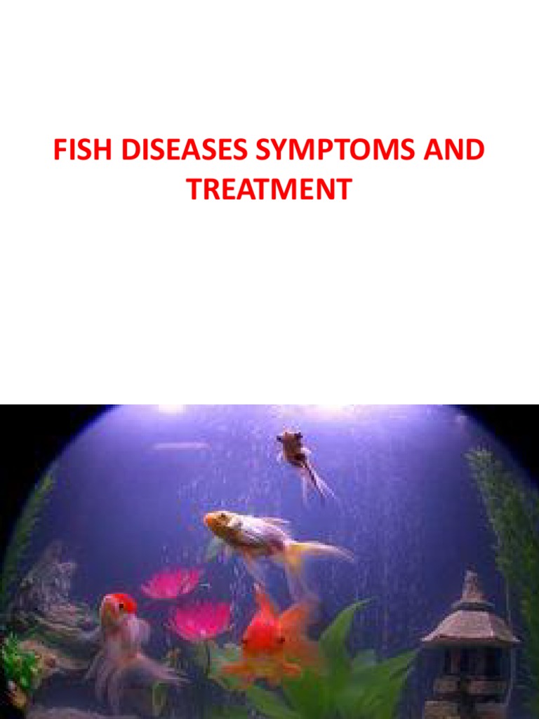 75..fish Diseases Symptoms | Download Free PDF | Aquarium | Medical ...