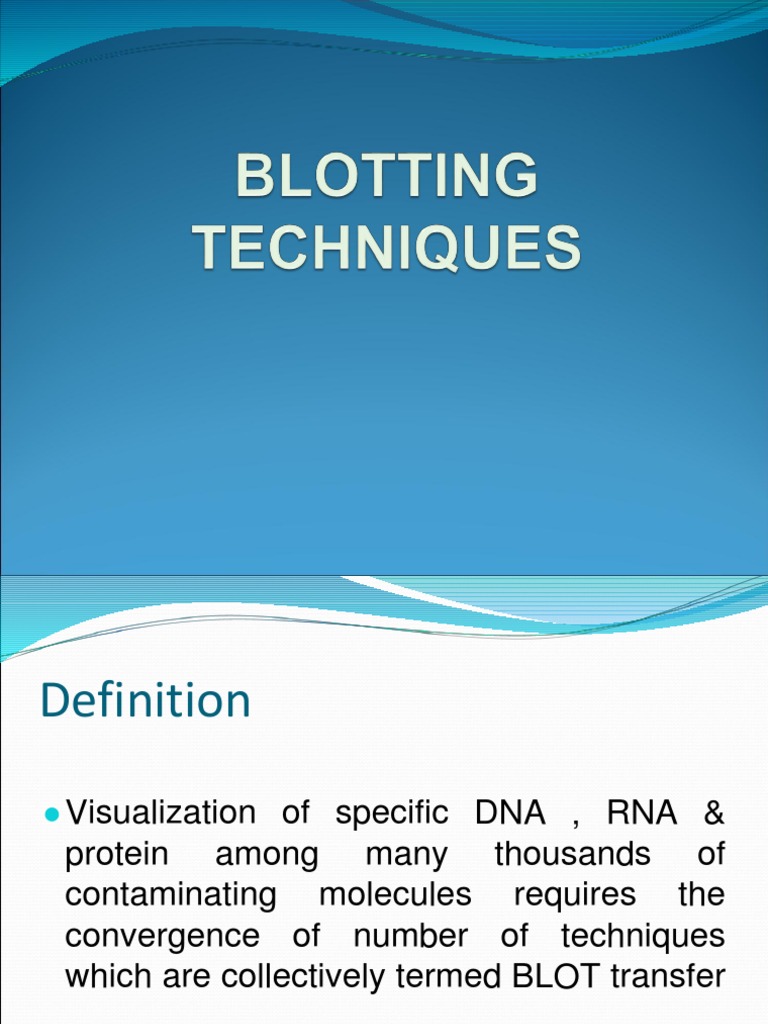 Blotting Techniques | PDF | Blot (Biology) | Gel Electrophoresis