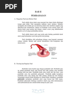 Bentuk Dada Normal dan Abnormal | PDF | Kajian Bahasa Asing | Sains ...
