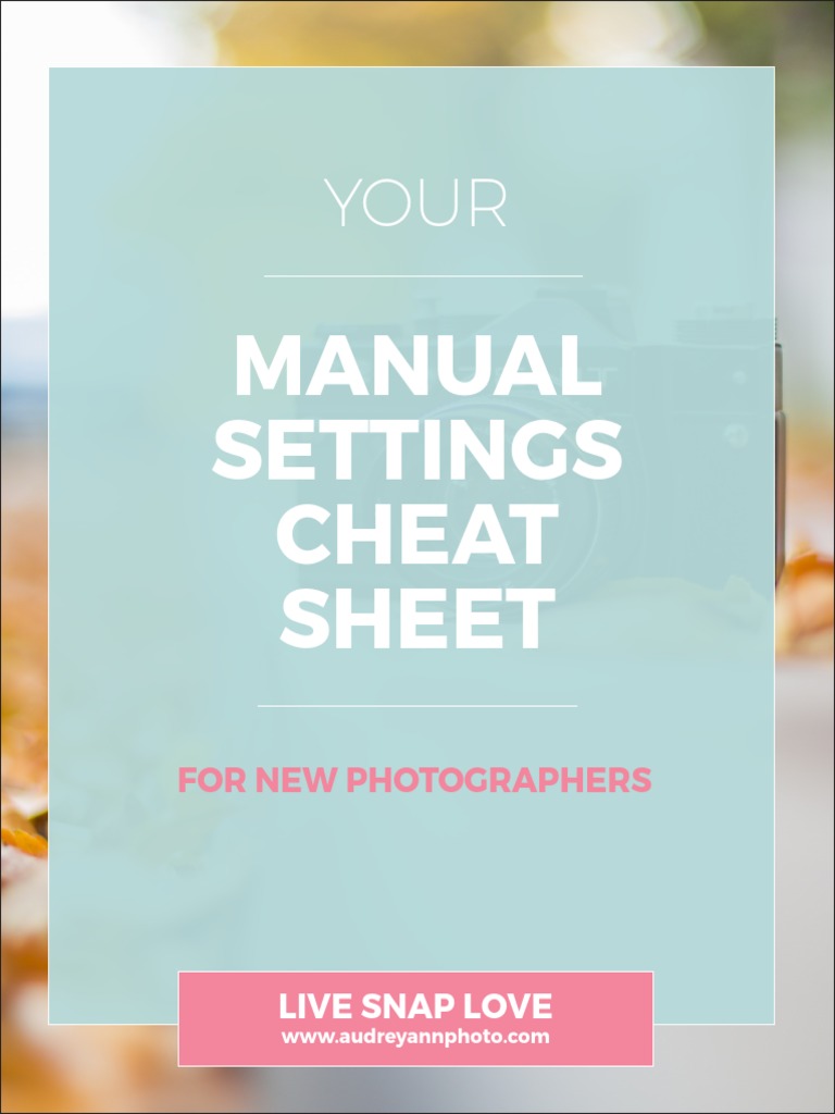 Manual Settings Cheat Sheet for Beginners | PDF