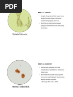 Kristal Amorf dalam Urin dan Penyebabnya | PDF