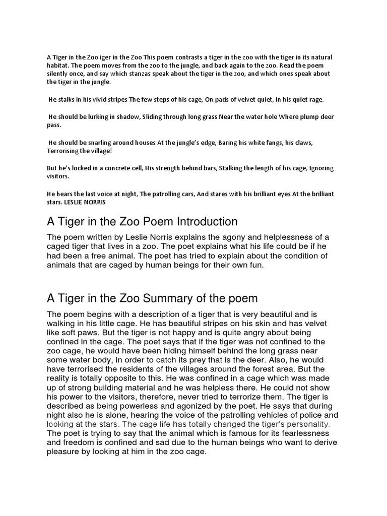 A Tiger in The Zoo Poem Introduction | PDF | Rhyme | Tiger