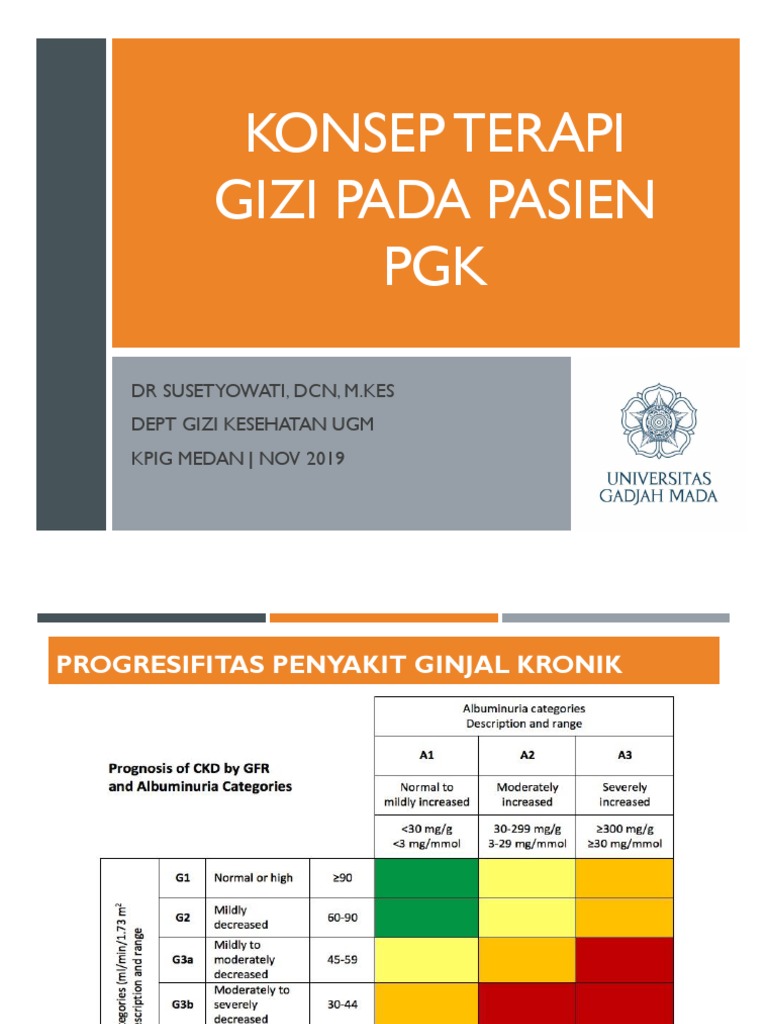 2019-KPIG-Konsep Terapi Gizi Pada Pasien PGK | PDF | Dialisis | Spesialisasi Medis