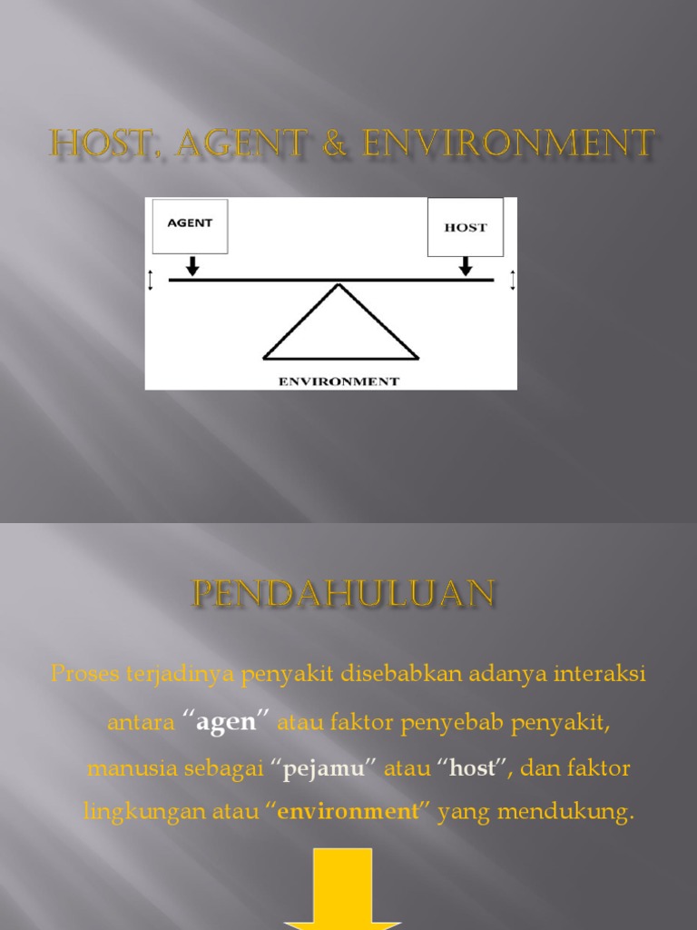 Host Agent Environment | PDF