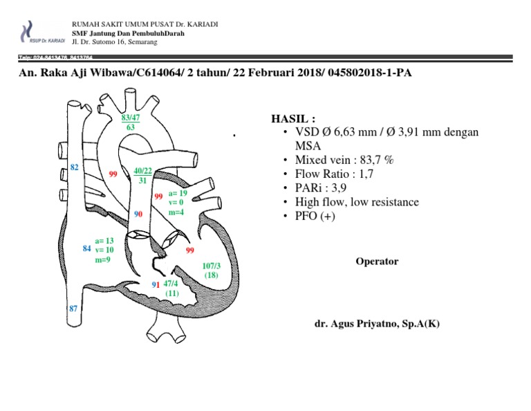 Gambar Cath RAW VSD-MSA, AP | PDF