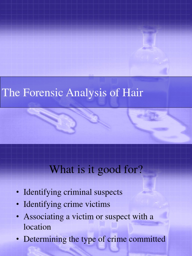 Hair Forensic | PDF | Hair | Forensic Science