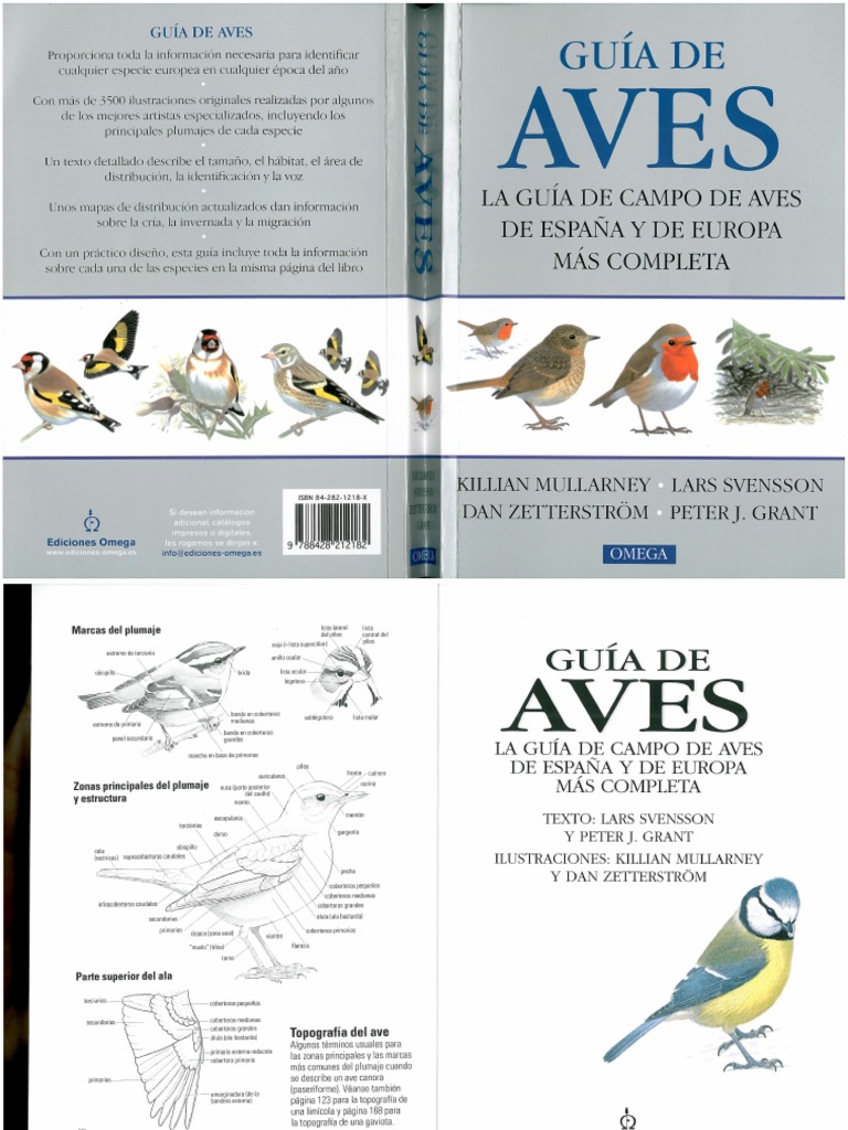 Guia de Aves La Guia de Aves de España y Europa Más Completa | PDF