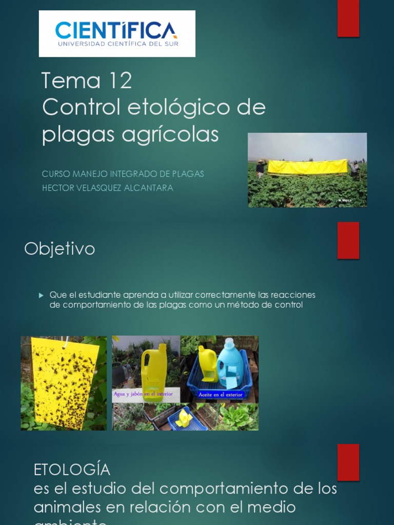 Control Etológico de Plagas Agrícolas | PDF | Feromona | Insectos