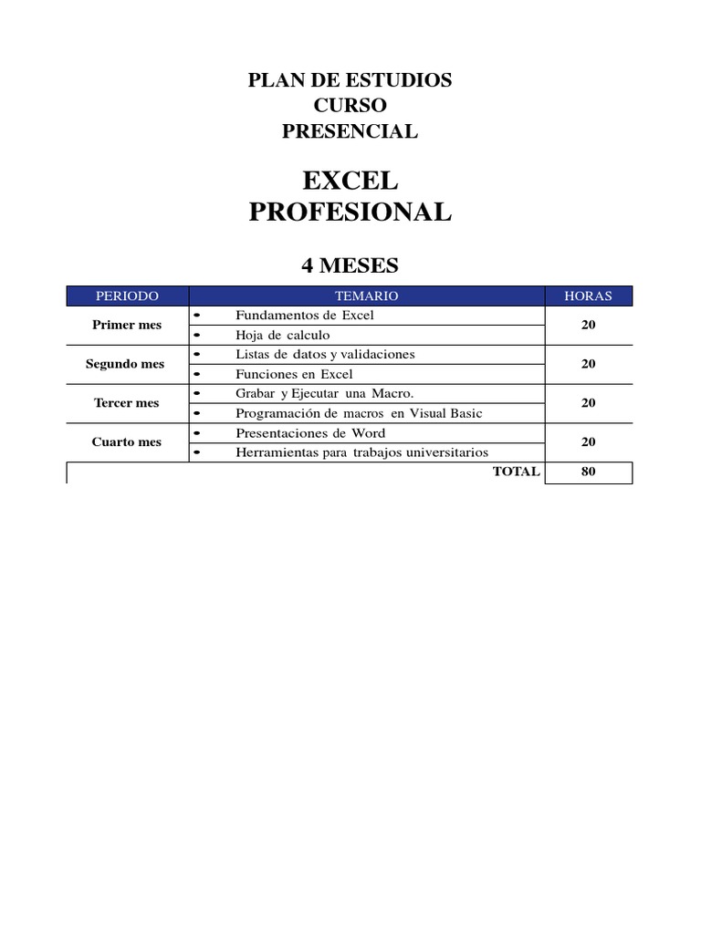Silabus Excel Profesional | PDF | Microsoft Excel | Hoja de cálculo