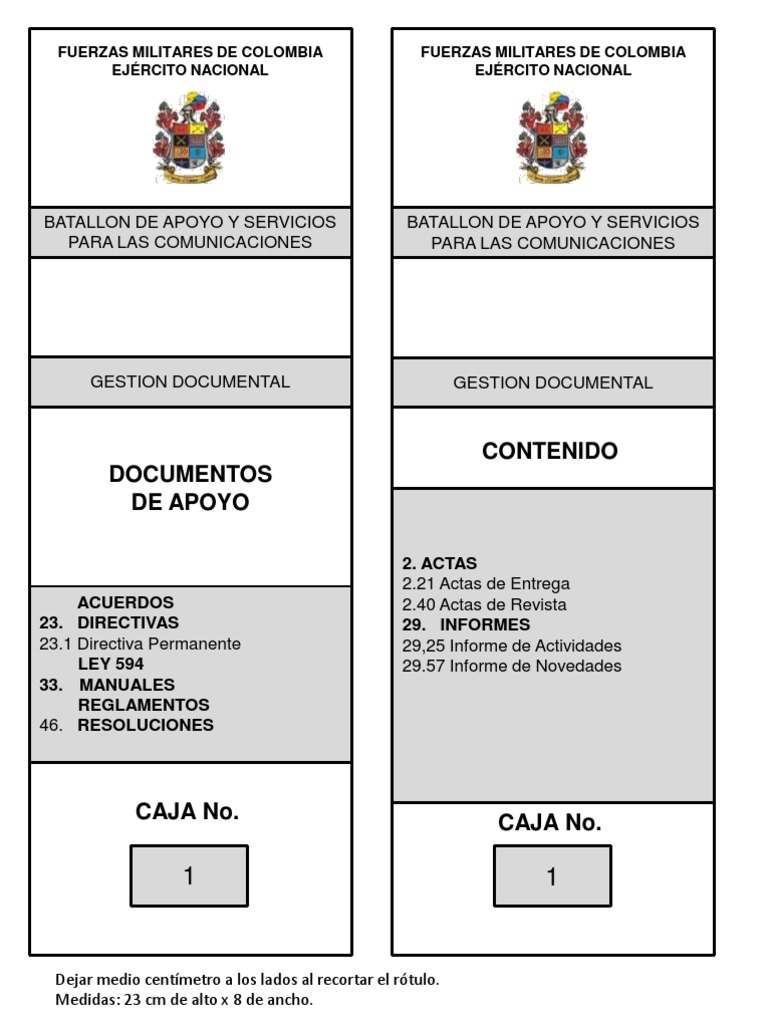 Formato Rotulo Cajas X 100 | PDF