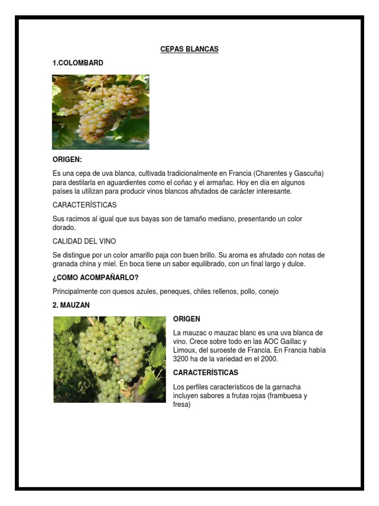 Tiposde Cepa | PDF | Vino | Variedades de uva