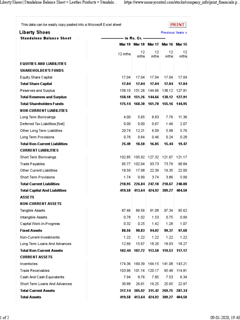 Liberty Balance Sheet | PDF | Balance Sheet | Equity (Finance)