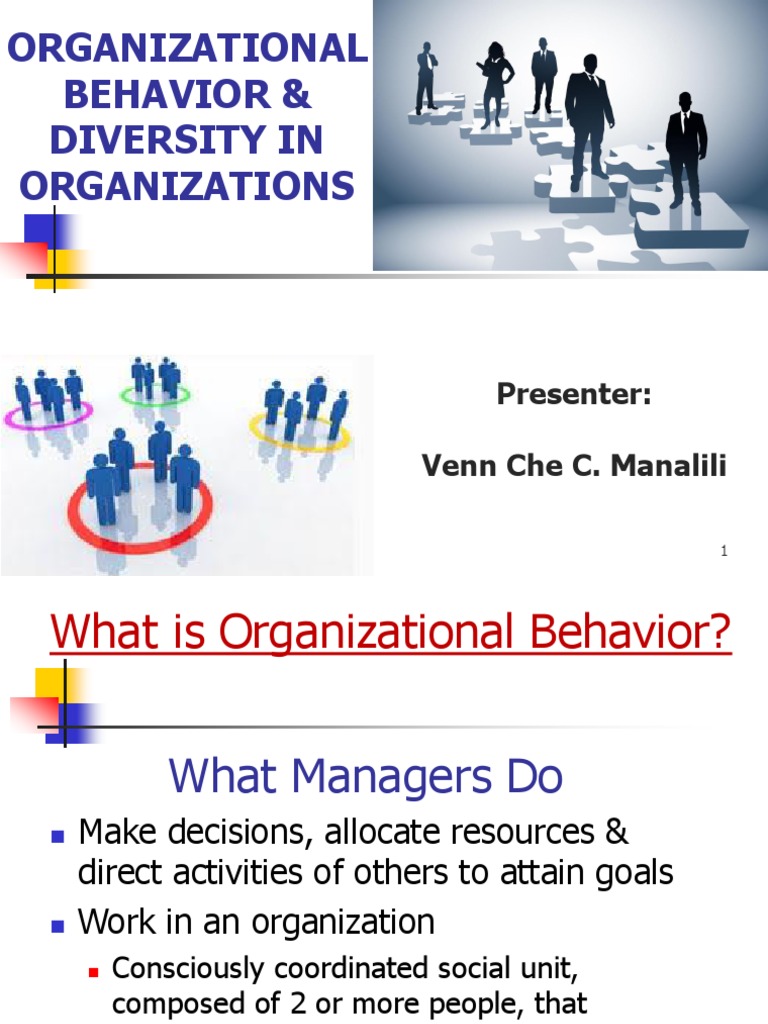 Organizational Behavior Presentation | PDF | Organizational Behavior ...