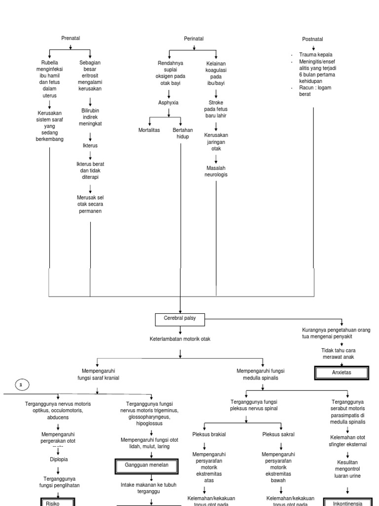 Pathway Cerebral Palsy | PDF