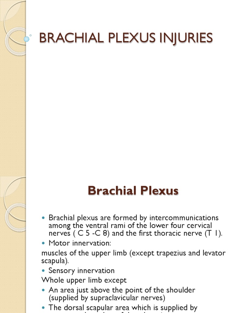 Brachial Plexus Injuries | PDF | Limbs (Anatomy) | Nervous System